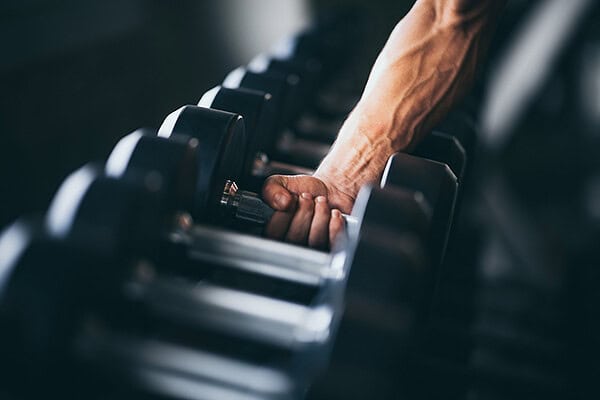 Understanding the Link Between Testosterone and Muscle | Addison Gym